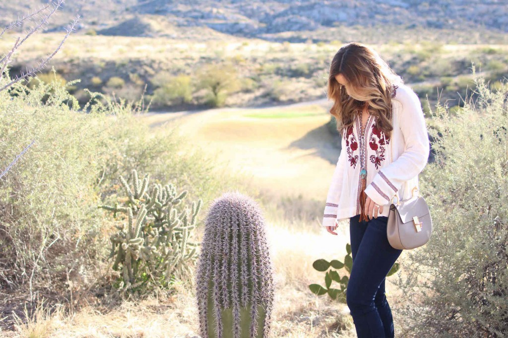 The Cashmere Gypsy » Tucson, Arizona Day Guide
